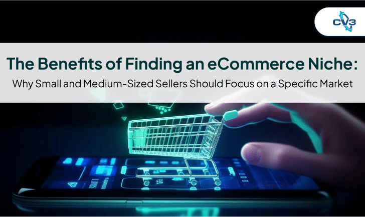 Why E-Commerce Niches Help Small & Medium Sellers Succeed?